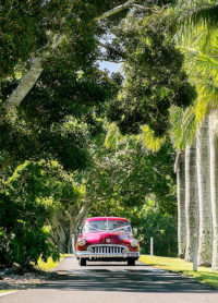 The Rocks Functions Yandina - Weddings, Events, Activity Experiences